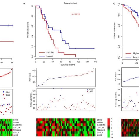 The Performance Of Risk Score In Tcga Dataset The Overall Survival A