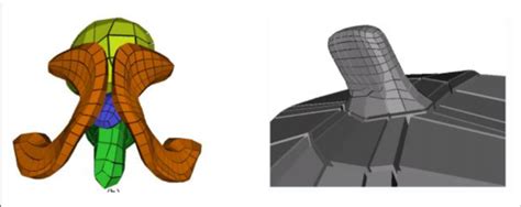 Left Finite Elements For Objects In The Male Pelvis Right Finite