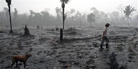 Un été Record Pour Les Incendies En Amazonie