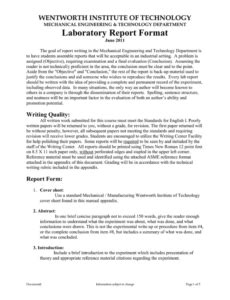 Engineering Lab Report Template