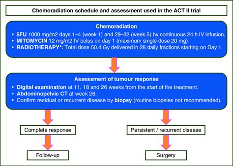Chemoradiation Schedule Used As A Control Arm In The Act Ii Trial As A