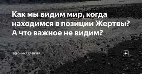 Как мы видим мир когда находимся в позиции Жертвы А что важное не