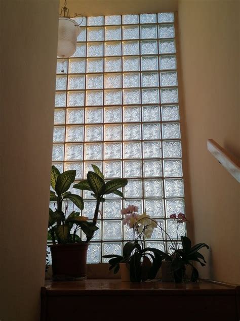 Stunning Glass Block Window With Plant Decor Arredamento Dinterni