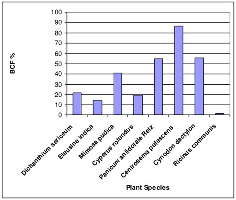 The Bioconcentration Factor Bcf Of Different Plant Species In Site 1 Download Scientific