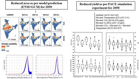 Interrelationship Between Results Of The Enm And Gcm Model With Face