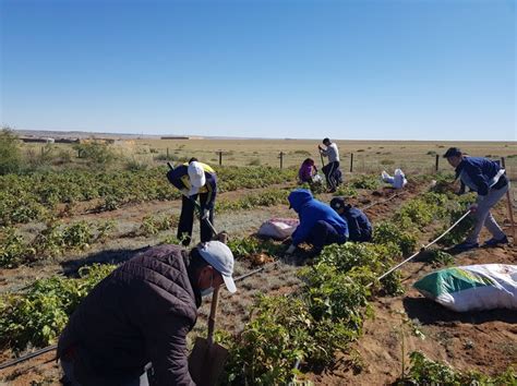 Дундговь аймаг 392 6 тн ургац хураан авчээ Хүнсний хувьсгал