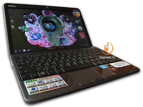 Тест нетбука MSI Wind12 U210 – двенадцать дюймов альтернативы - тест ...