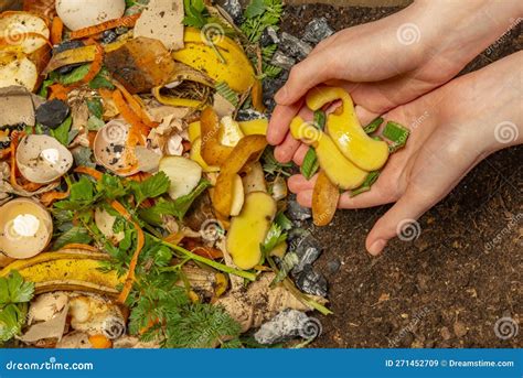 Organic Compost Biodegradable Kitchen Waste And Soil Stock Image