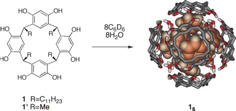 Resorcin 4 Arenes Assemble To Give Hexameric Capsules Peripheral Alkyl