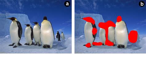 Figure 1 From Increasing The Security Of Gaze Based Cued Recall Graphical Passwords Using