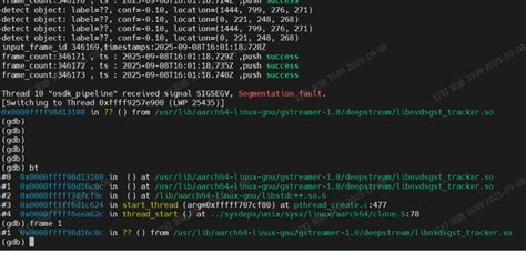 Segmentation Fault In Deepstream Application Using Seg Pgie Tracker