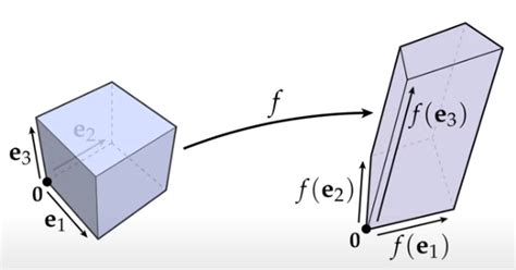 Determinant Lesleys Digital Garden