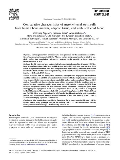 Pdf Multilineage Differentiation Activity By The Human Umbilical Vein
