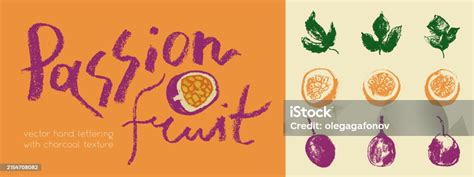 열정 과일 벡터 그리기 손으로 그린 스타일 와 거친 목탄 와 흑연 질감 0명에 대한 스톡 벡터 아트 및 기타 이미지 0명 갈색 개체 그룹 Istock