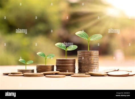 A Tree Growing On A Pile Of Coins And Coin Graphs Money Ideas And Financial Growth Stock Photo