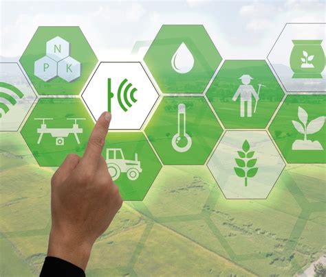 Sustainability Vs Development Balancing The New Industrial Revolution And Environmental