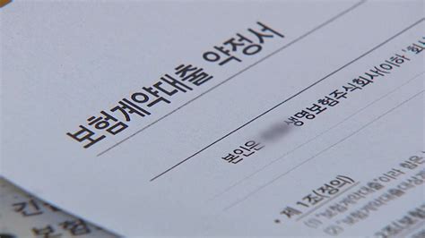 불황형 대출 보험계약대출 역대 최대 전망