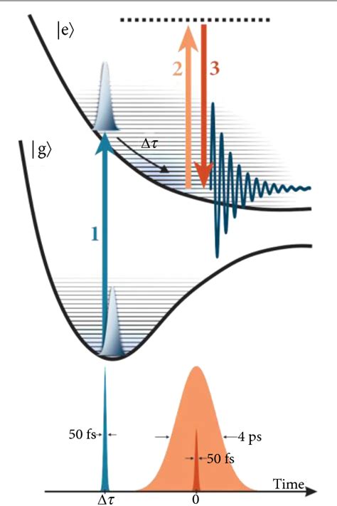 Figure 1 From A Tunable Femtosecond Stimulated Raman Scattering System
