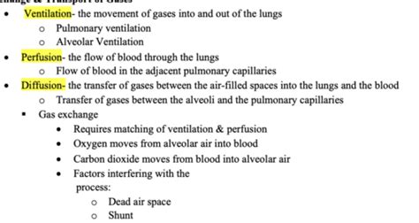 Patho Ch 29 Structure And Function Of The Respiratory System Flashcards Quizlet