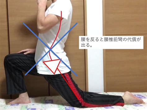 腸腰筋のストレッチは腰を反らない事が大切！股関節のストレッチ 運動のトリセツ