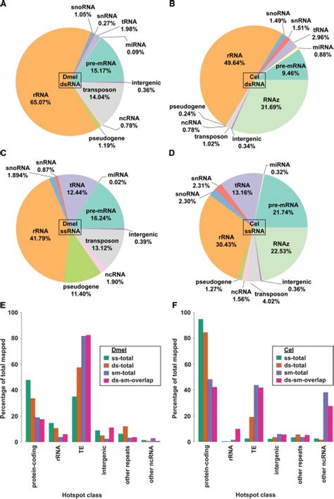 Global Analysis Of Rna Secondary Structure In Two Metazoans Cell Reports
