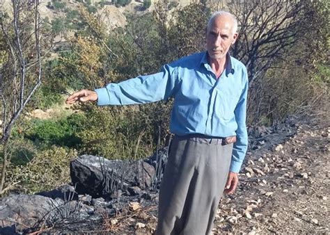 Nar Bahçesi Küle Döndü Son Dakika