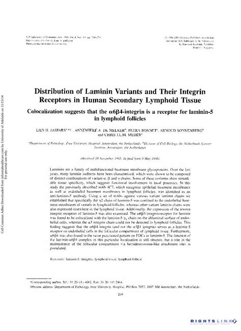 Pdf Distribution Of Laminin Variants And Their Integrin Receptors In