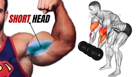 Biceps Exercises For Short Head
