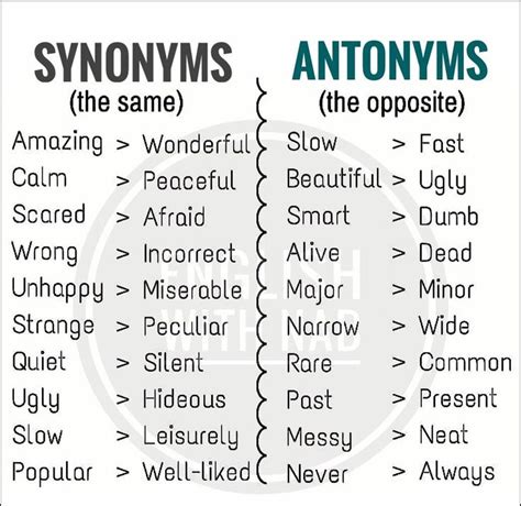 Expand Your Vocabulary With Synonyms And Antonyms