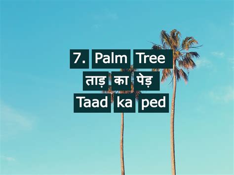 Trees Name In Hindi And English Theaugustbabe On Tumblr