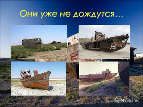 Презентация на тему 1 Попова Виктория Александровна 2 МОУ Лицей им