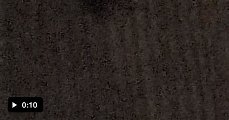 Break Dancing Cockroach 9gag