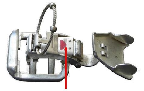 Canopy Release Assembly And Risers Flashcards Quizlet