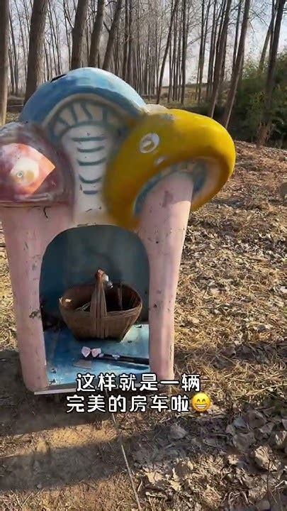 【野生小希】小希寻家记，第1天，我也有自己的房车了 Jk Dog Food Love Shorts Youtube