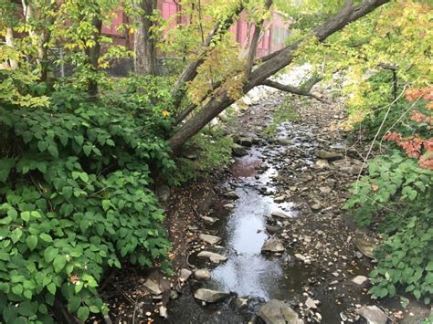 A Dam Removal Reunites A Mass Neighborhood With The Housatonic River