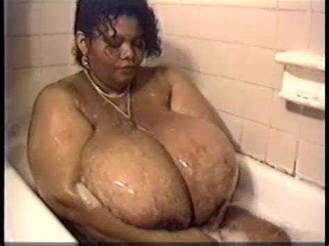 Norma Stitz Classic 1995 Norma Stitz Productions Adult Dvd Empire