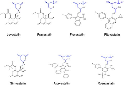 Lipophilic Groups At Patrick Oala Rarua Blog
