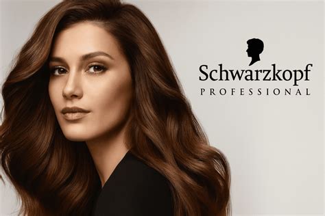 צבעי שיער שוורצקופף כל מה שצריך לדעת על המותג המוביל בעולם מוצרים לשיער I צבע לשיער I ציוד