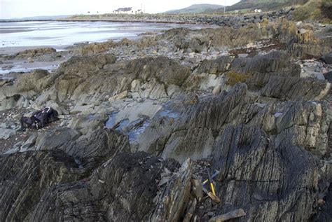Scotland South Uk Fossil Collecting