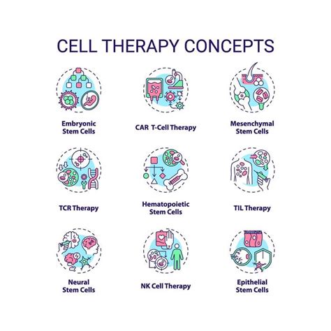 Stem Cell Vector Art Icons And Graphics For Free Download