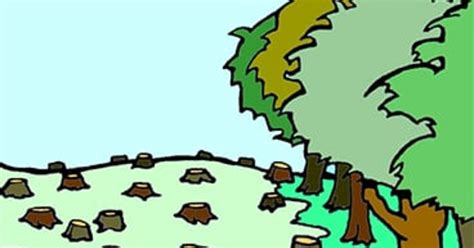 Habitat Loss Drawing Easy At Molly Nielsen Blog