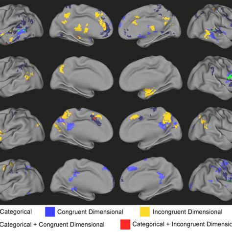 Composite Maps Of The Dorsal Attention Network Dan Default Mode Download Scientific Diagram