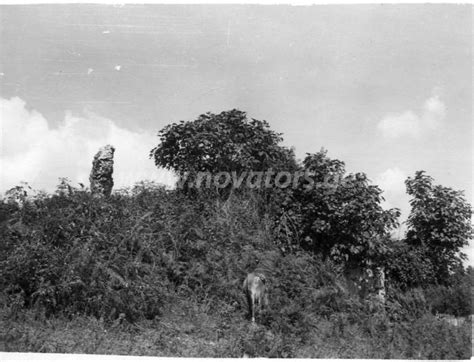 Novators Ge ბაბუშერას კოშკი