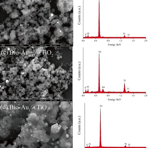 Fe Sem Micrographs And Edx Spectra Of Bio Tio2 A And Bio Aux Tio2 Download Scientific Diagram