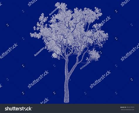 3d Rendering Outlined Tree Blueprint Isolated Stock Illustration