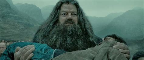 Harry Potter 20 Strange Details About Hagrids Anatomy