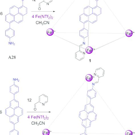 Preparation Of Fe 4 L 6 8 Tetrahedra 1 And 2 Via Subcomponent Download Scientific Diagram