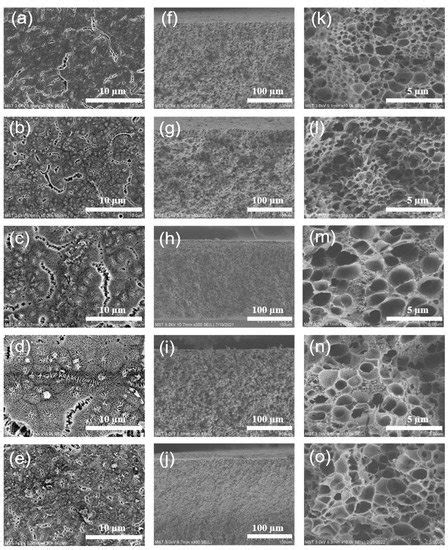 Ectfe Membrane Fabrication Using Green Binary Diluents Tegdatotm And