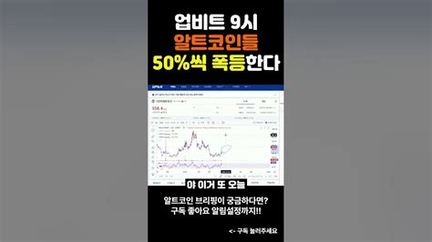 코인 초보자 분들 9시에 투자하지 마세요 이더리움 주식 비트코인 Youtube