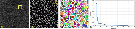 Modeling The Random Mask Membrane Used For Simulation A Microscopic